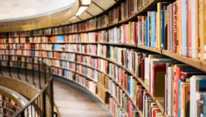 Importance of Knowledge In Learning